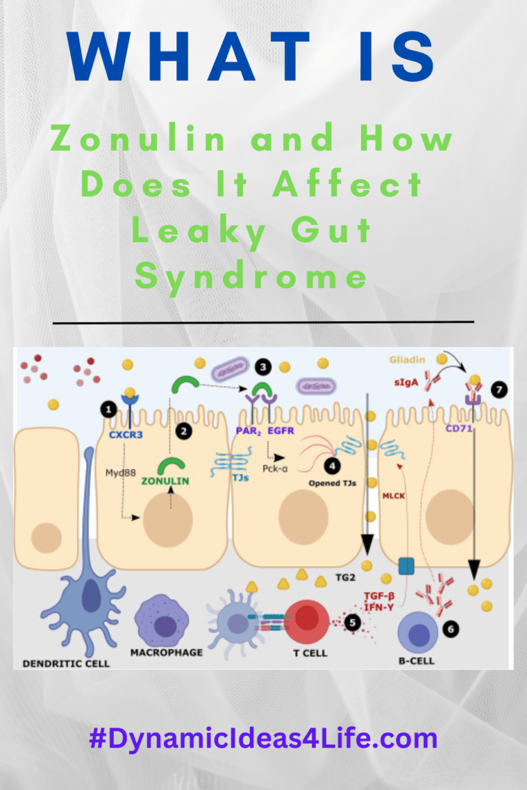 What Is Zonulin and How Does It Affect Leaky Gut Syndrome