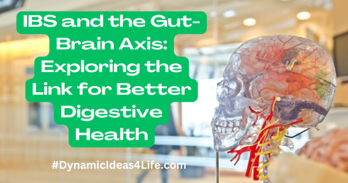 The Link Between IBS and the Gut Brain Axis Explained!